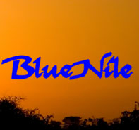 Blue Nile's Battle Belge 2010 | A Perfect Pint Beer Blog